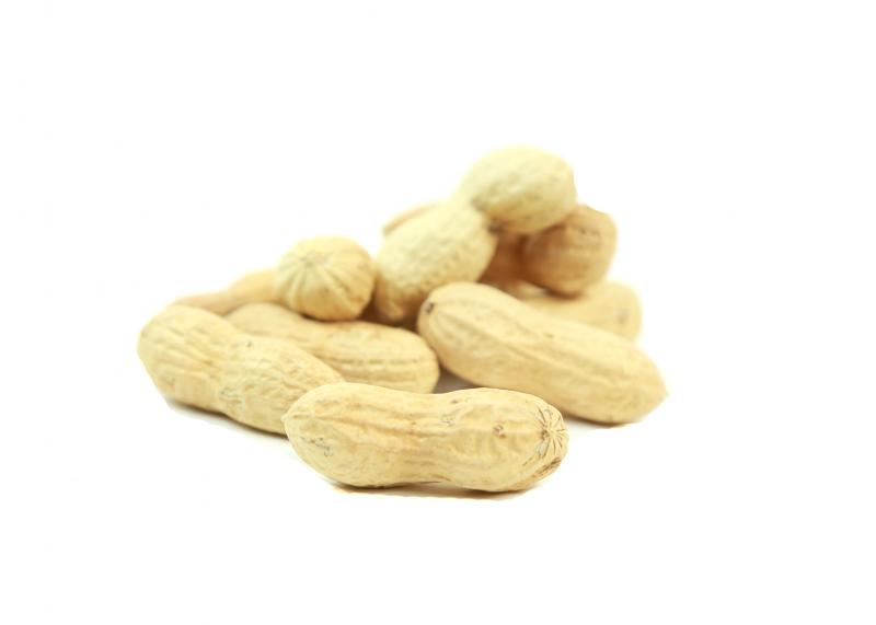 Erdnüsse | Obst und Gemüse Kräling