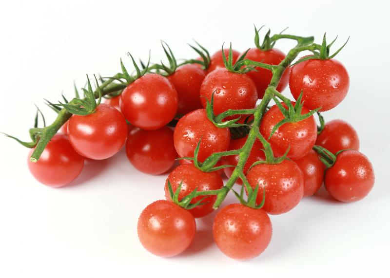 Tomaten Honig | Obst und Gemüse Kräling