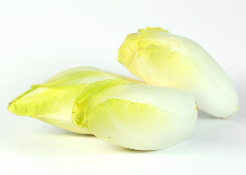 Chicorée | Obst und Gemüse Kräling