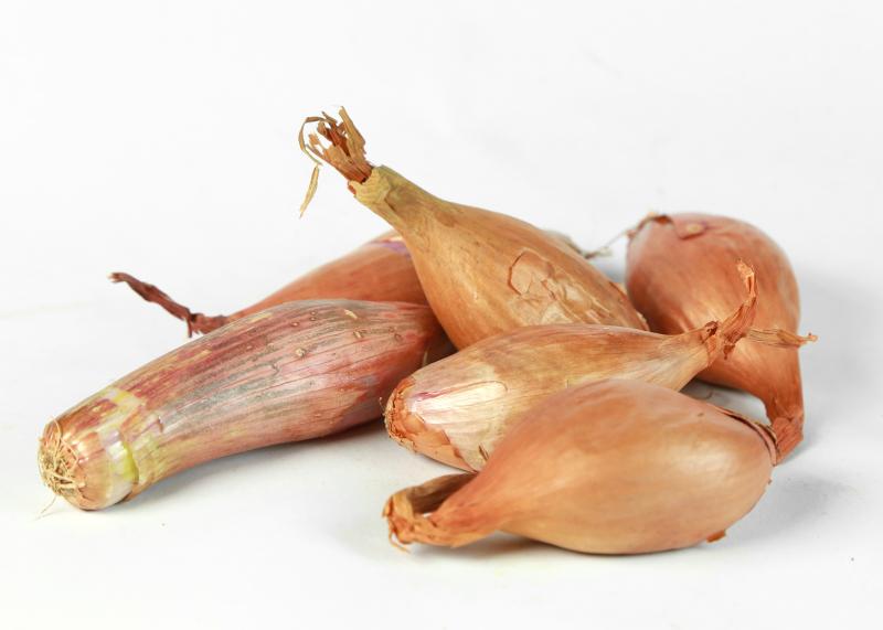 Zwiebel Schalotten | Obst und Gemüse Kräling
