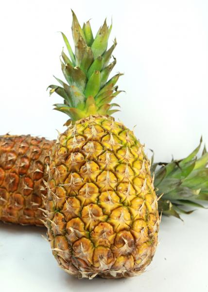 Ananas -Flug | Obst und Gemüse Kräling